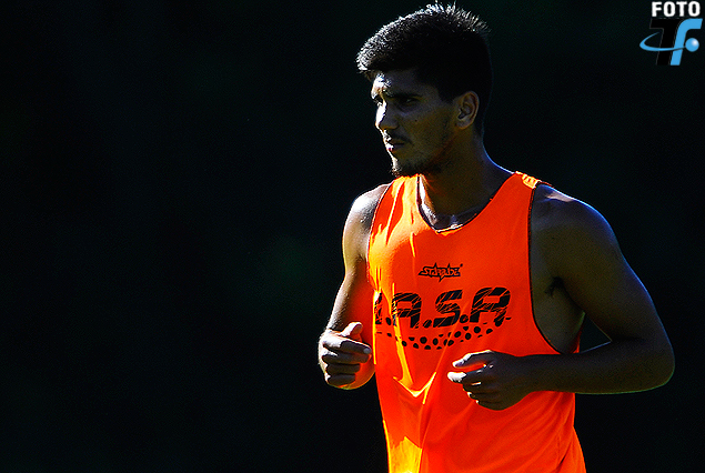 Tenfield.com » Pollero en el ataque